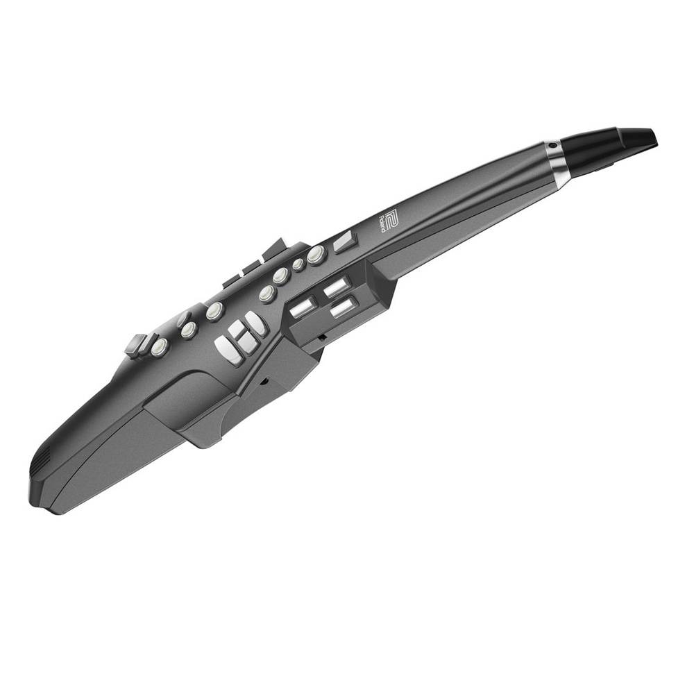 Roland Aerophone AE-10, Digital Wind Instrument